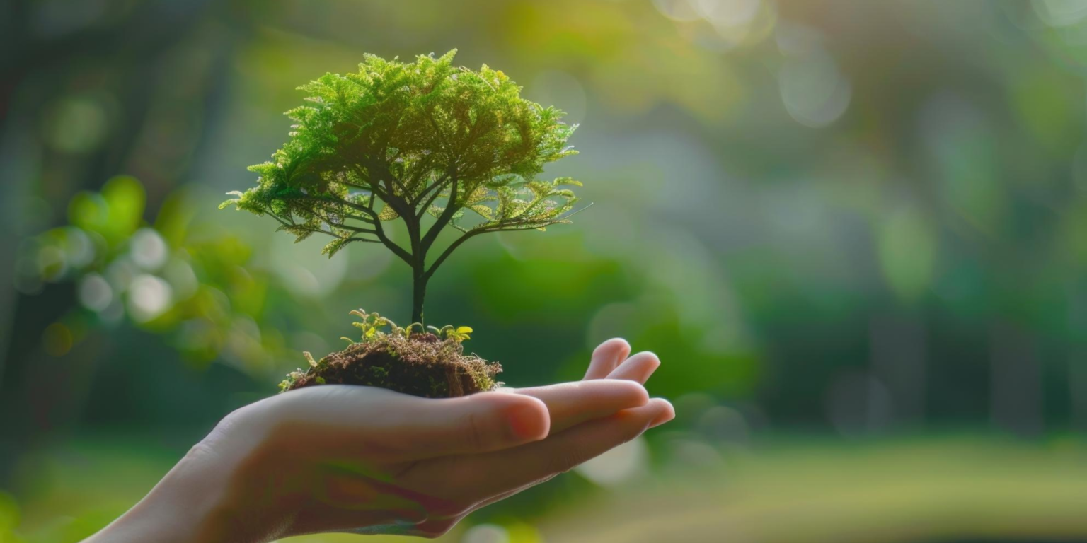 Nature Credits Roadmap to reward nature-positive action and boost ...